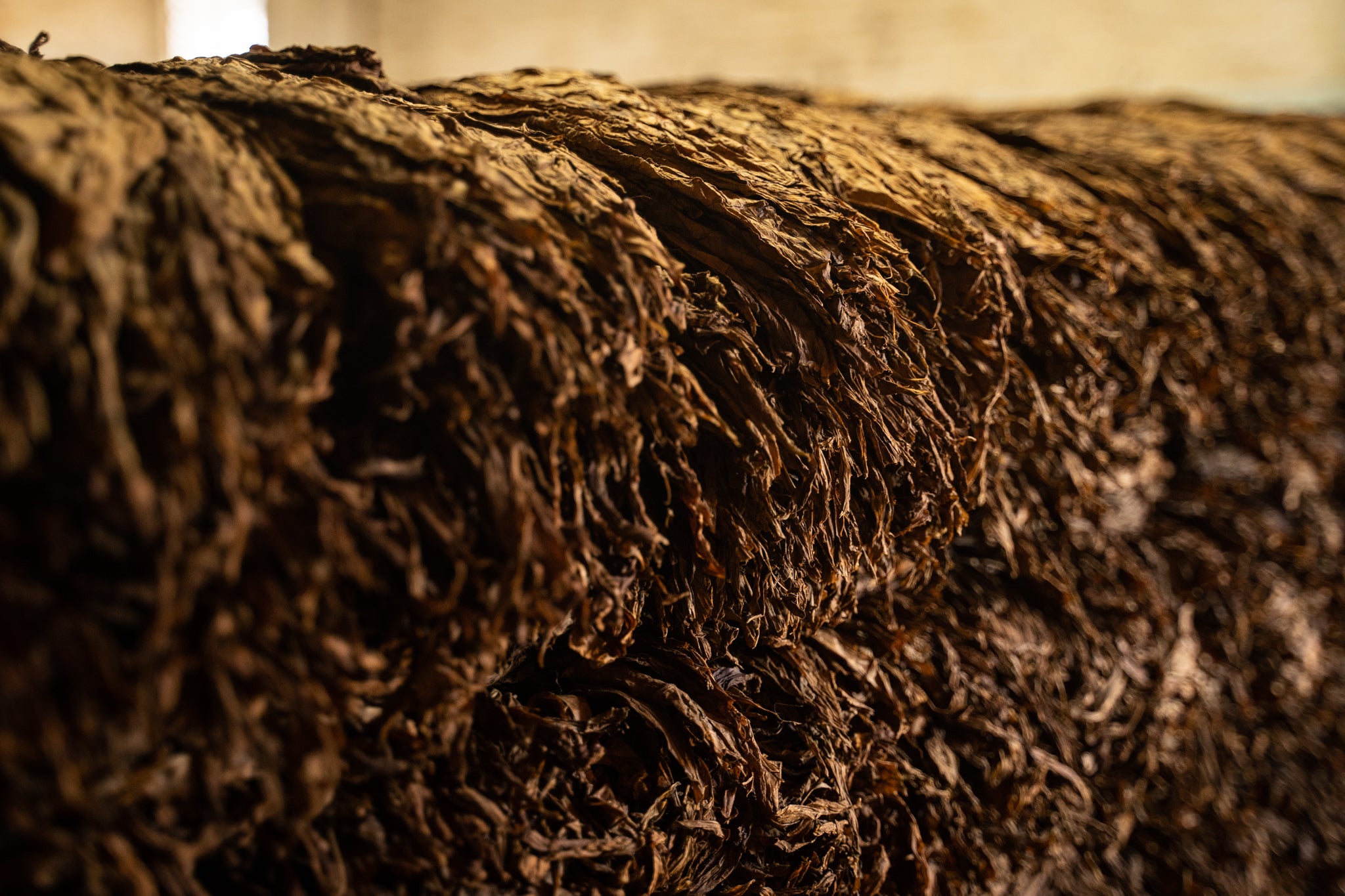 Mystic Healer: The Ancient Properties of Tobacco – EGM Cigars