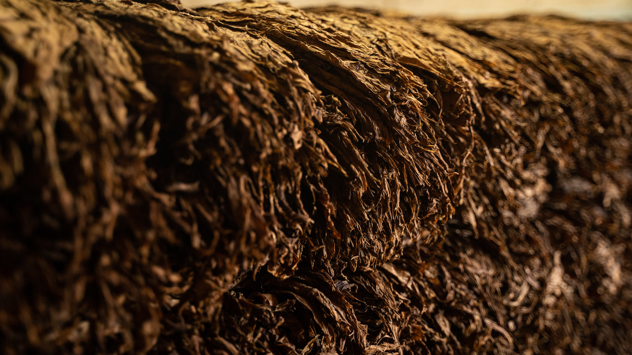 Mystic Healer: The Ancient Properties of Tobacco – EGM Cigars