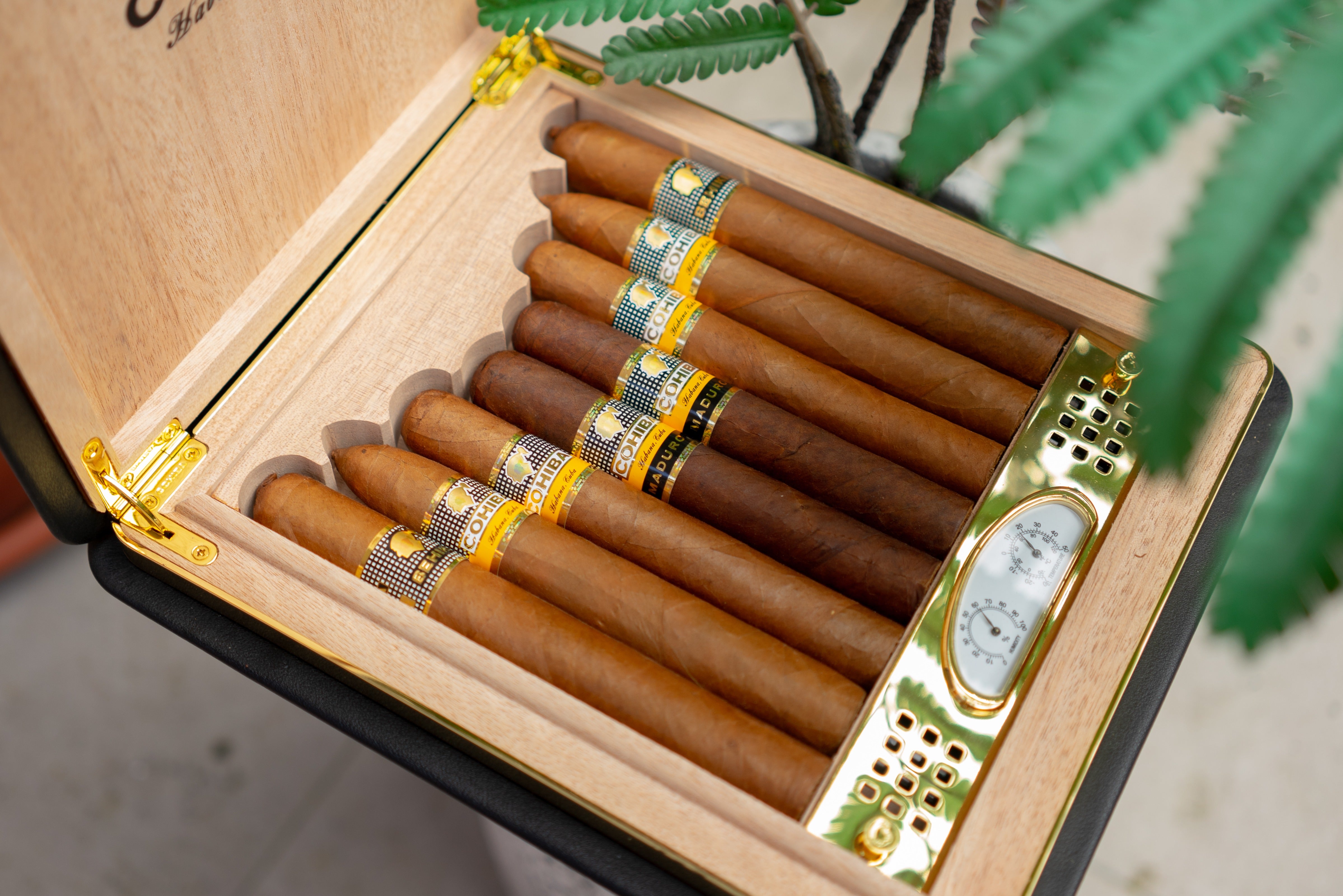 How to Maintain Your Cigar Humidor – EGM Cigars