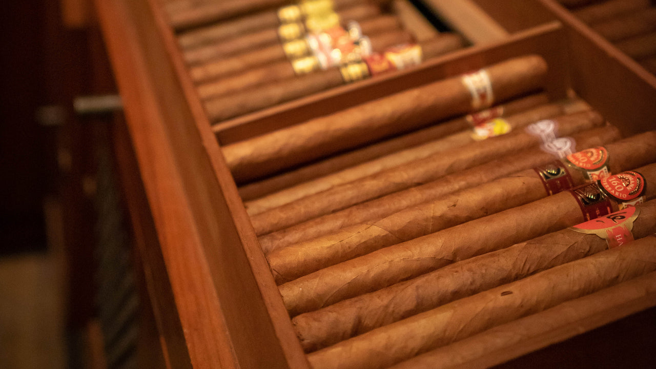 How to Best Store Cigars Without A Humidor – EGM Cigars
