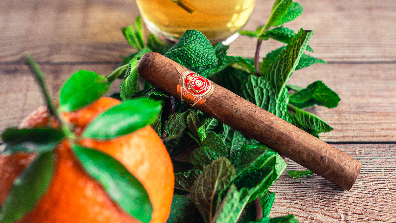 Punch Coronations Tubos Cigar Review – EGM Cigars