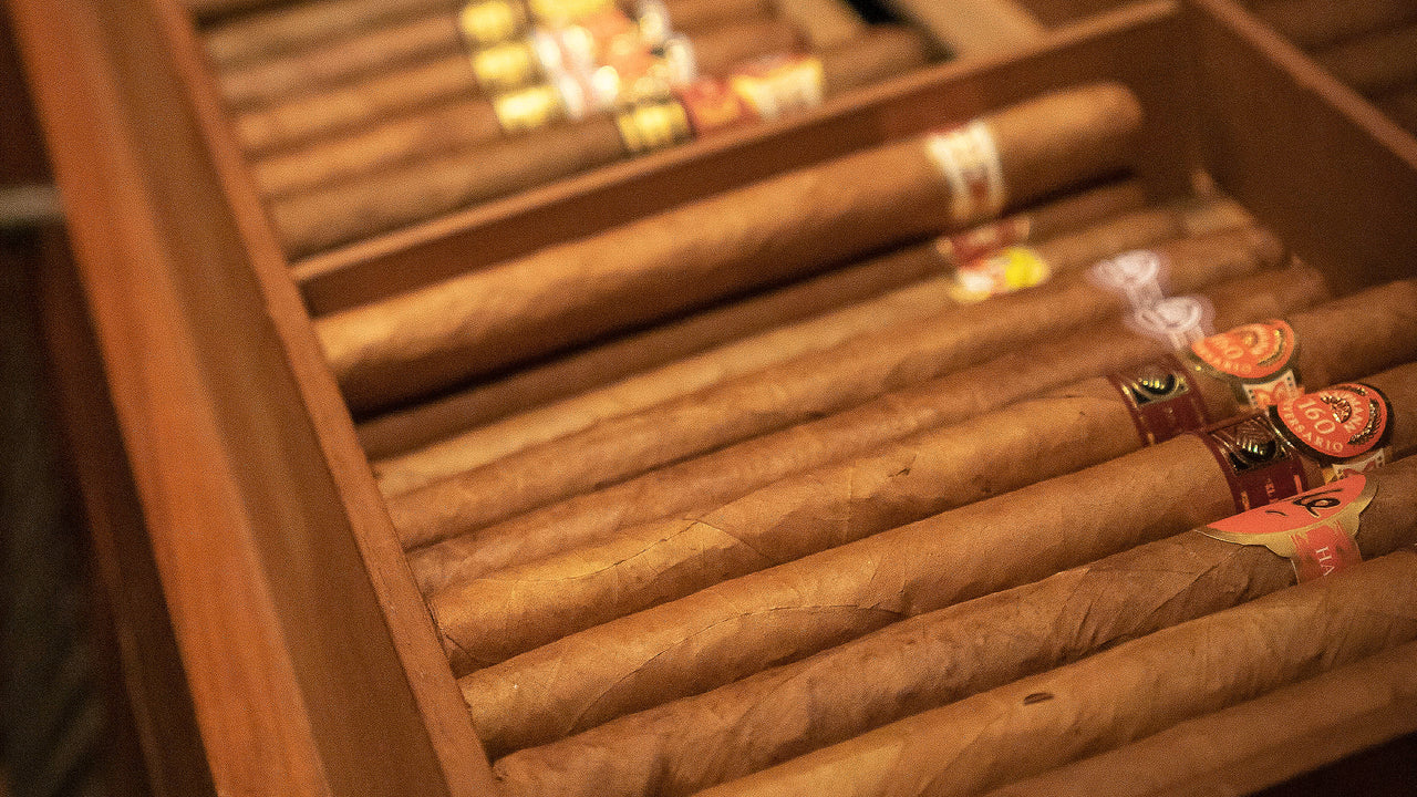 Can You Store Your Cigars Without a Humidor? – EGM Cigars