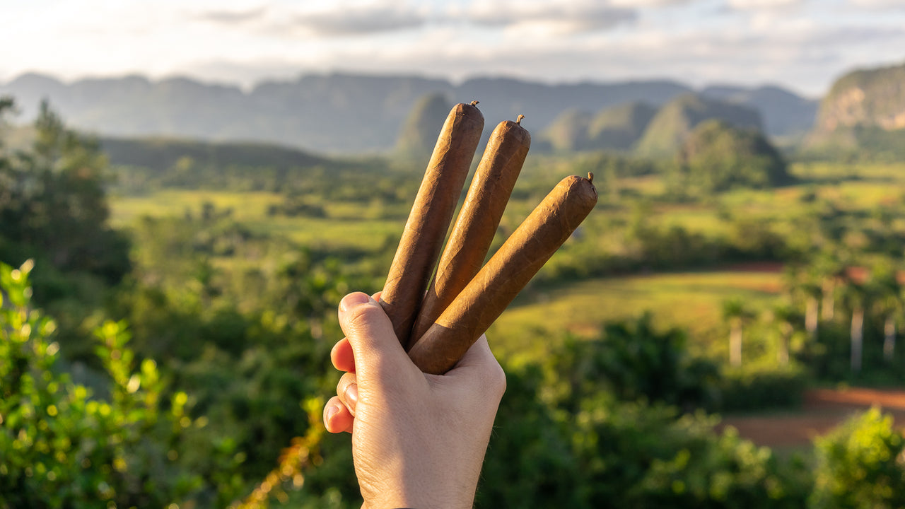 Made In Cuba: The Origin of Cuban Cigars – EGM Cigars